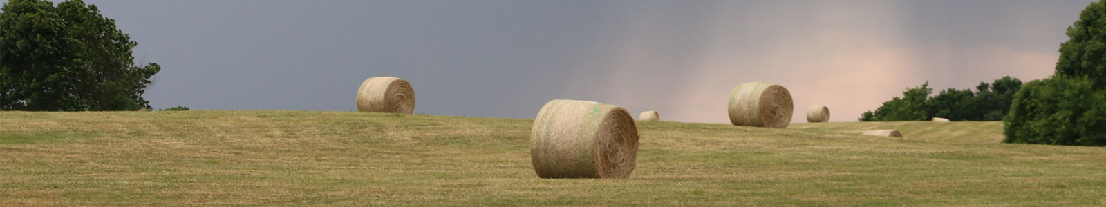 Hay & Forage Division - Commodities | Alabama Farmers Federation