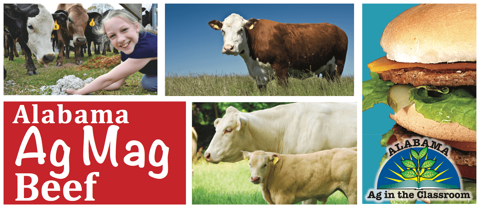 School Resources for Teachers | Alabama Farmers Federation