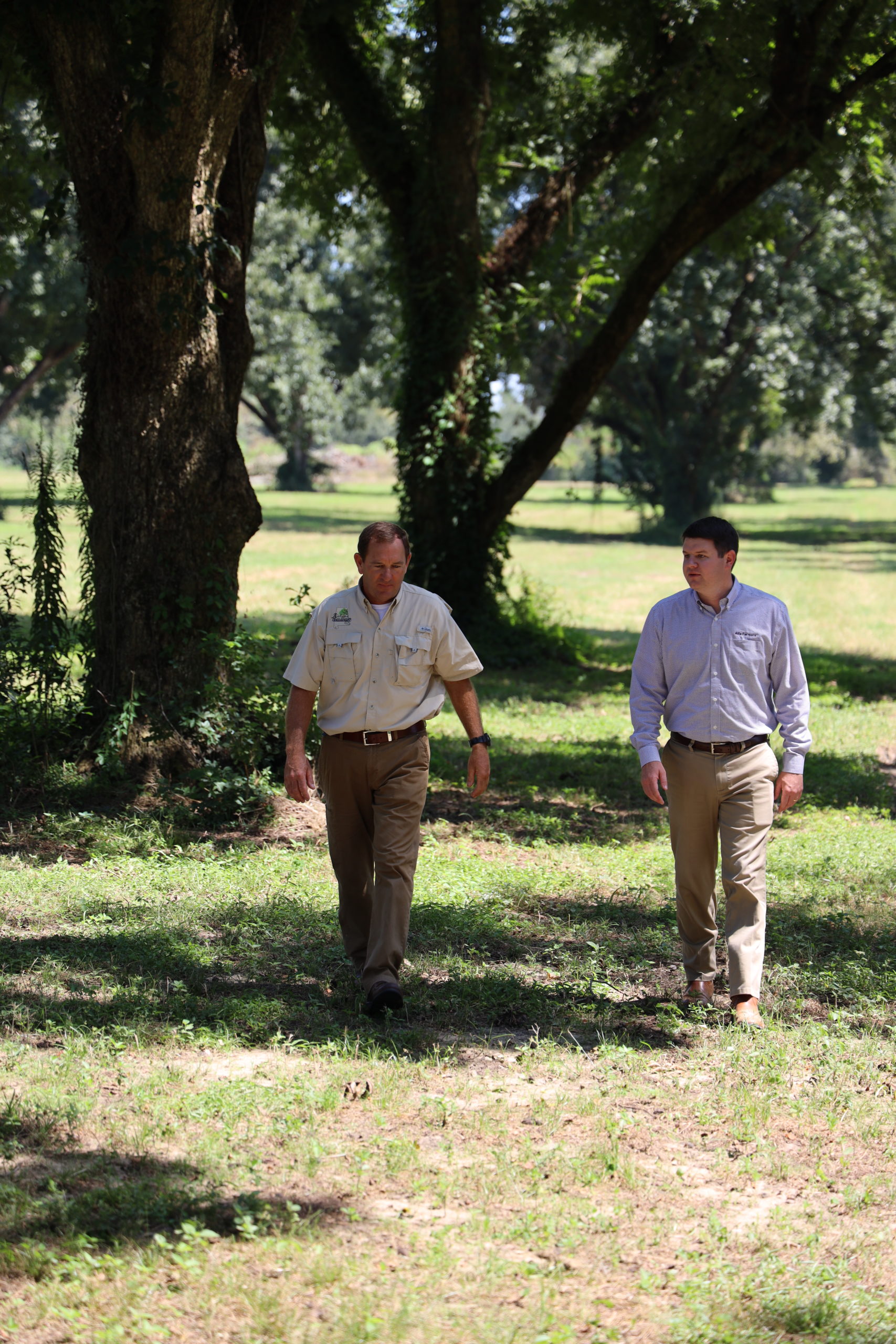 Picking Up The Pieces: Alabama Pecans' Past, Present and Future ...