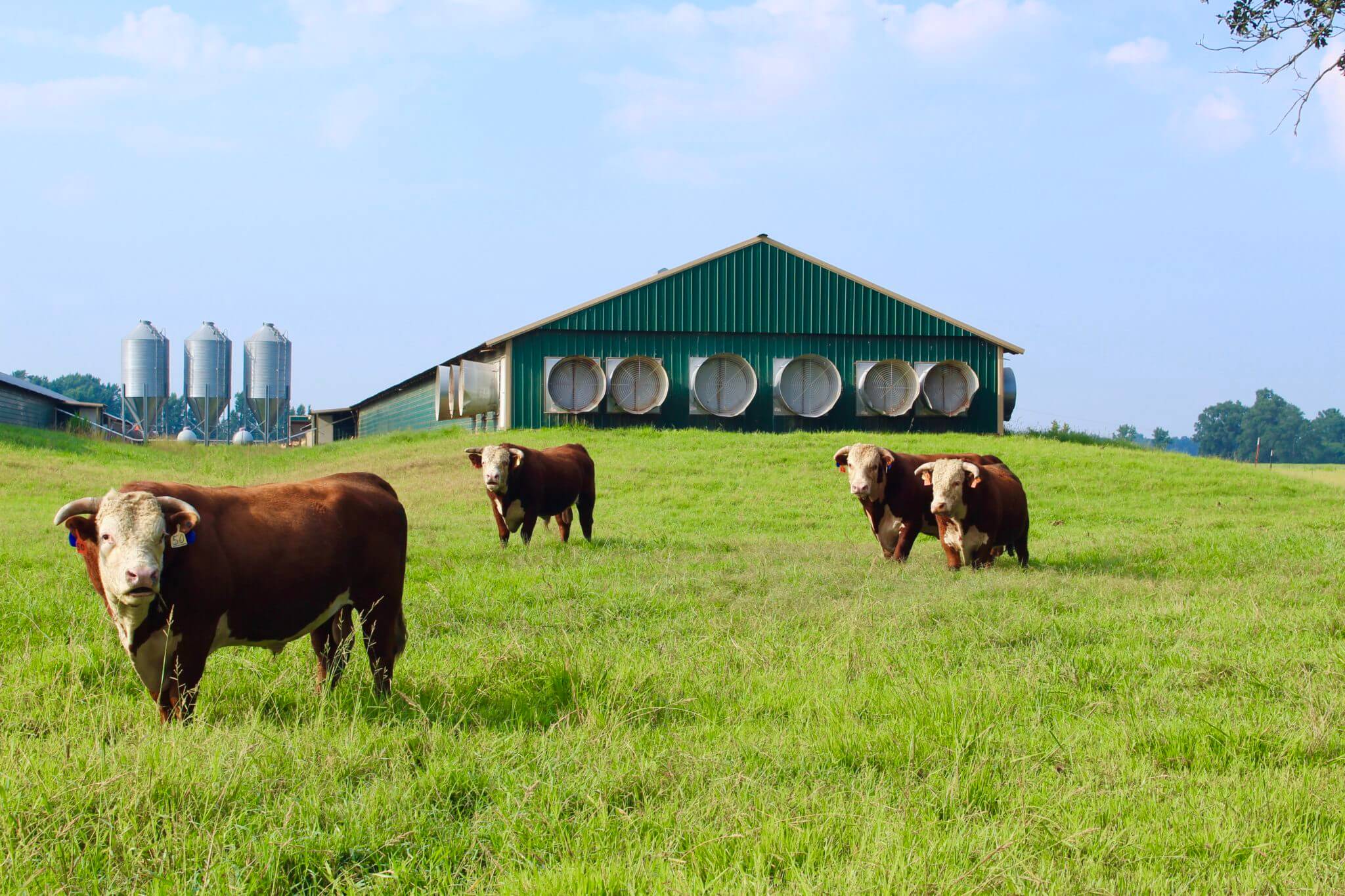 St. Clair And Bibb Counties Capture Winning Photos In Farming Feeds ...