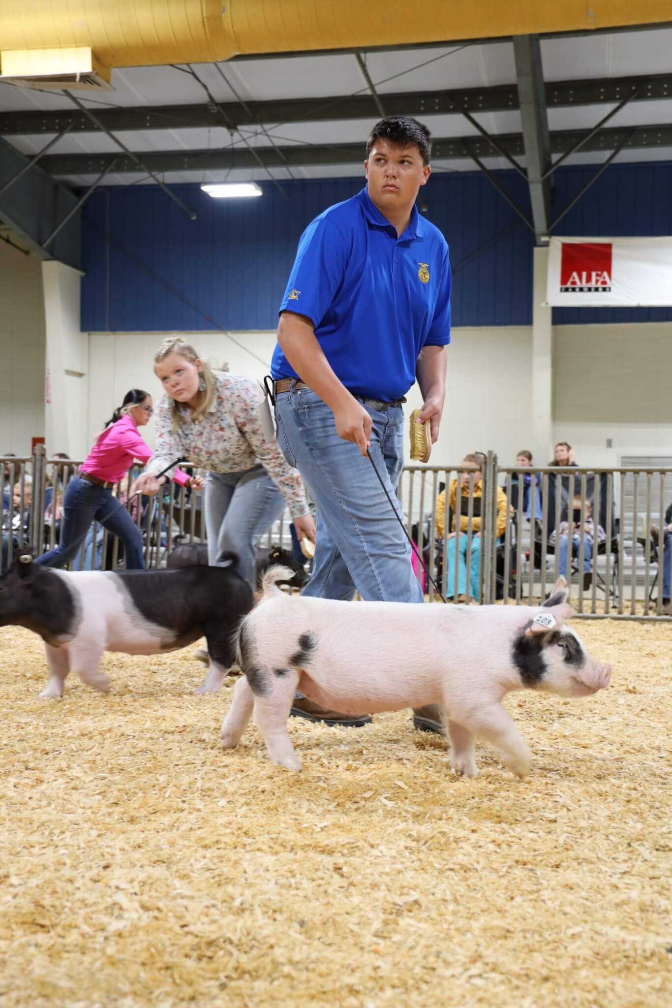 Alabama National Fair Preserves Decades of Tradition - Alabama Farmers ...