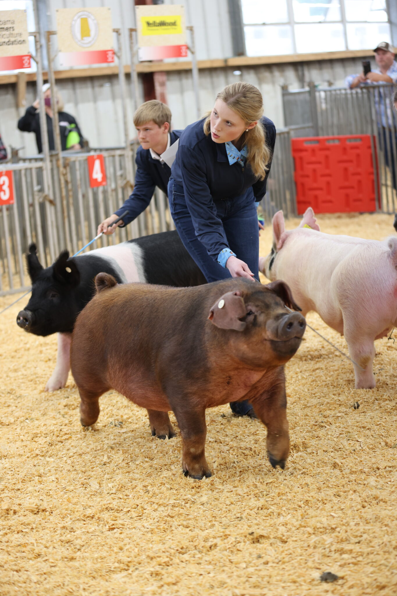 Inaugural Alabama Jr. Swine Board Benefits Community - Alabama Farmers ...