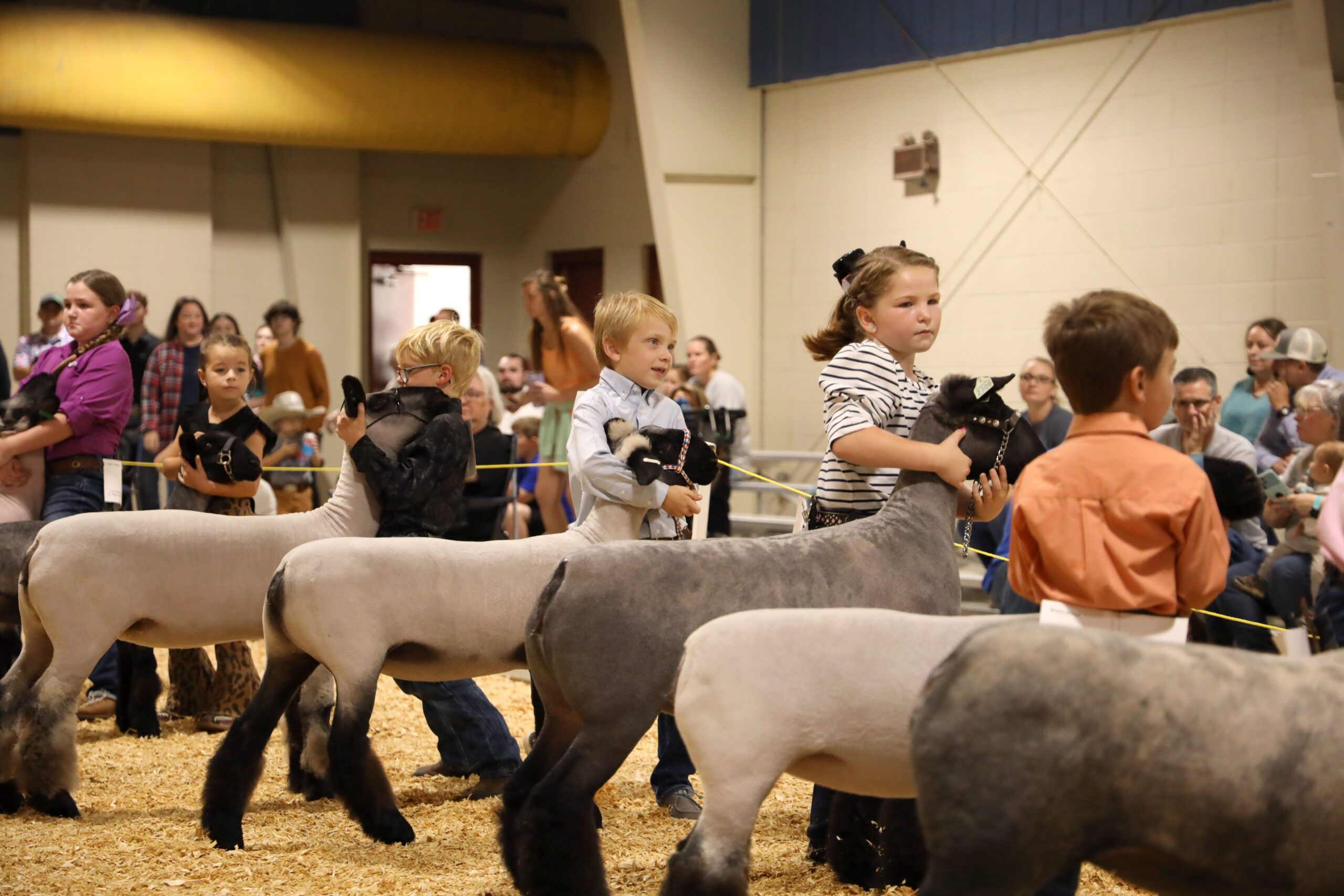 Alabama National Fair Preserves Decades of Tradition - Alabama Farmers ...