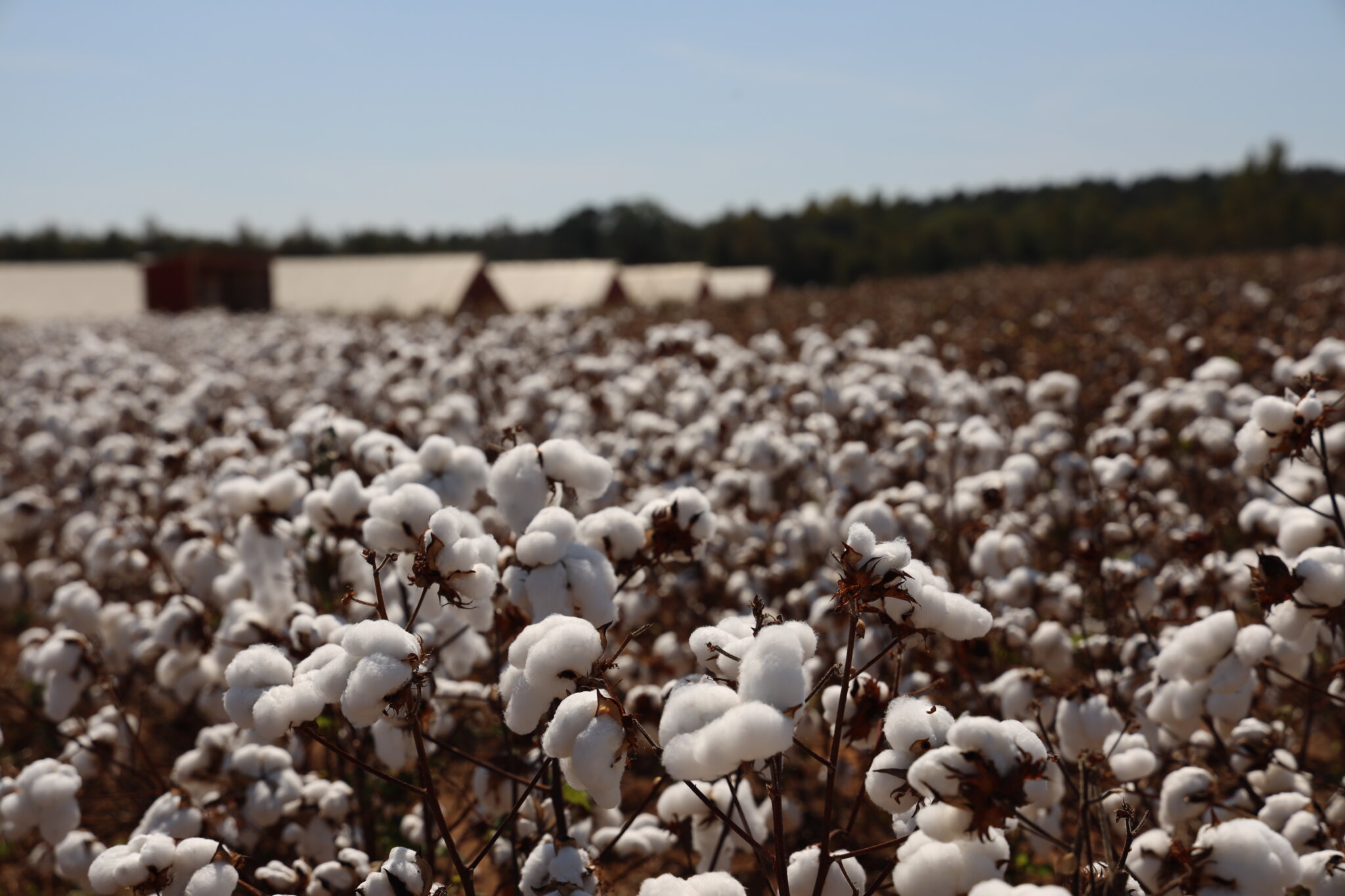House Ag Committee Releases Farm Bill Proposal - Alabama Farmers Federation